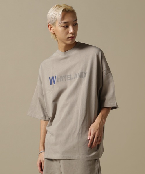 WHITELAND（ホワイトランド）の「【WEB&DEPOT限定】WHITELAND/ホワイトランド/OWL/COLOR LOGO SST ...