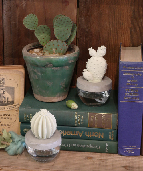 DULTON（ダルトン）の「CACTUS FRAGRANCE DIFFUSER/ カクタス フレグランス ディフューザー（ルームフレグランス/お香）」 - WEAR