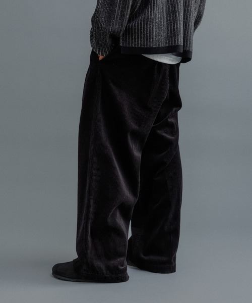 WEB限定】2タック ワイドストレート ドカンパンツ / バギーパンツ