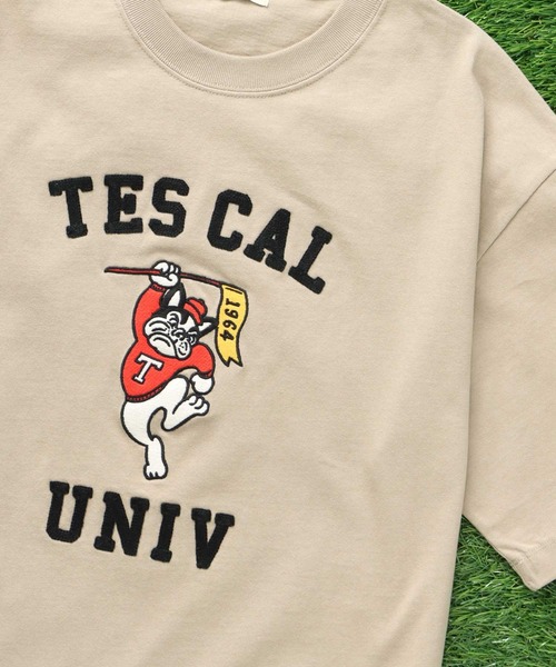 The Endless Summer（エンドレスサマー）の「TES COLLEGE EMB BIG T-SHIRT / ビッグシルエットT ...