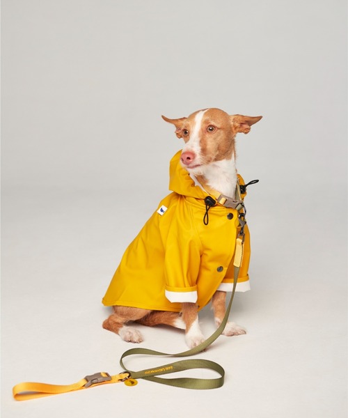 【セール】SARAH DOG RAINCOAT（ペットウェア）｜THE PAINTER'S WIFE（ザペインターズワイフ）のファッション通販 ...