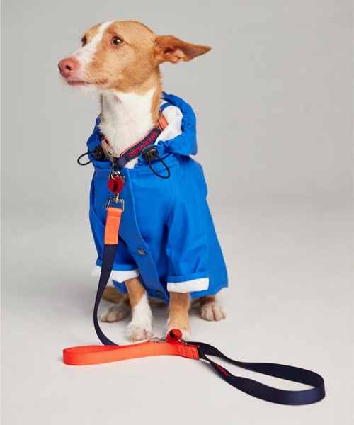 THE PAINTER'S WIFE（ザペインターズワイフ）の「SARAH DOG RAINCOAT（ペットウェア）」 - WEAR