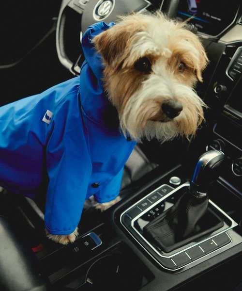 THE PAINTER'S WIFE（ザペインターズワイフ）の「SARAH DOG RAINCOAT（ペットウェア）」 - WEAR