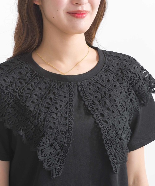 PICCIN（ピッチン）の「【WEB限定】ビッグカラー天竺Tシャツ（Tシャツ/カットソー）」 - WEAR