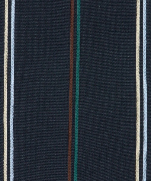 Paul Smith COLLECTION（ポールスミスコレクション）の「カラーストライプ ビジネスソックス / 204732 BS（ソックス ...