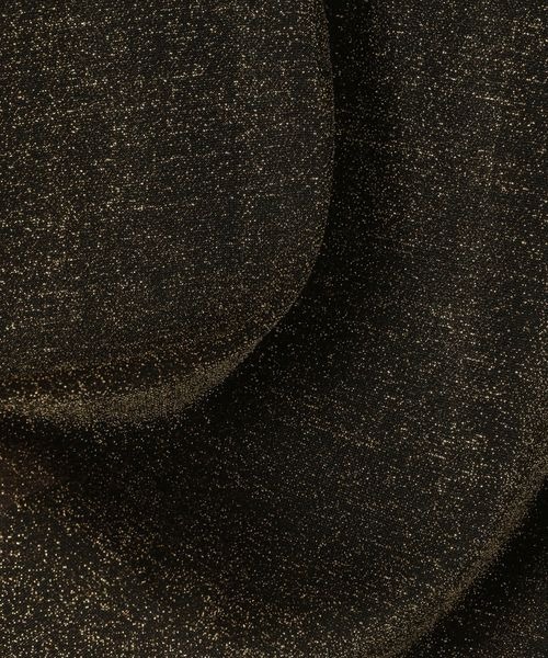 JEANASIS（ジーナシス）の「ラメテンジクシアーSS TEE/120208（Tシャツ/カットソー）」 - WEAR