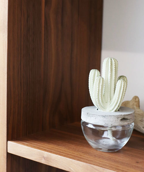 DULTON（ダルトン）の「DULTON(ダルトン) "CACTUS FRAGRANCE DIFFUSER " サボテンディフューザー（キッチンツール）」 - WEAR