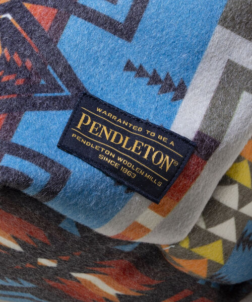 TAION（タイオン）の「【WEB限定】【TAION/タイオン】×【PENDLETON/ペンドルトン】リバーシブル ランチトートバッグ S（トートバッグ）」 - WEAR