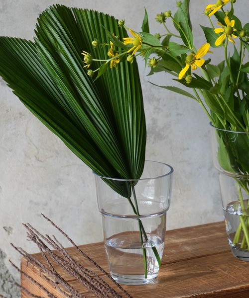 DULTON（ダルトン）の「GLASS VASE PASO H.180/フラワーベース パソ（フラワーベース）」 - WEAR