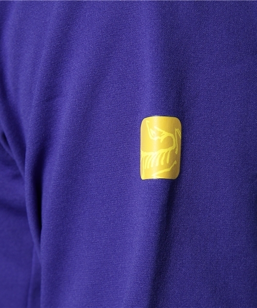 BEAMS（ビームス）の「ARC'TERYX / PHASE AR ZIP NECK（その他トップス）」 - WEAR