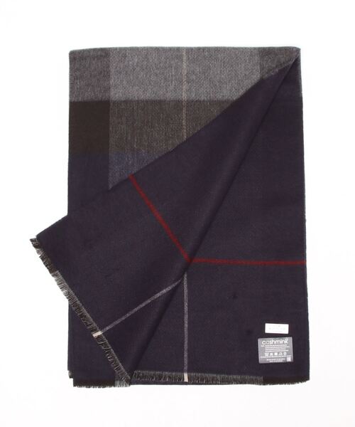 m.f.editorial（エムエフエディトリアル）の「ヴィ・フラース/V.FRAAS カシミンクマフラー（マフラー）」 - WEAR