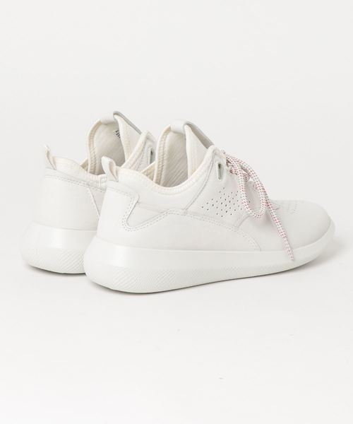 ECCO（エコー）の「ECCO SCINAPSE（スニーカー）」 - WEAR