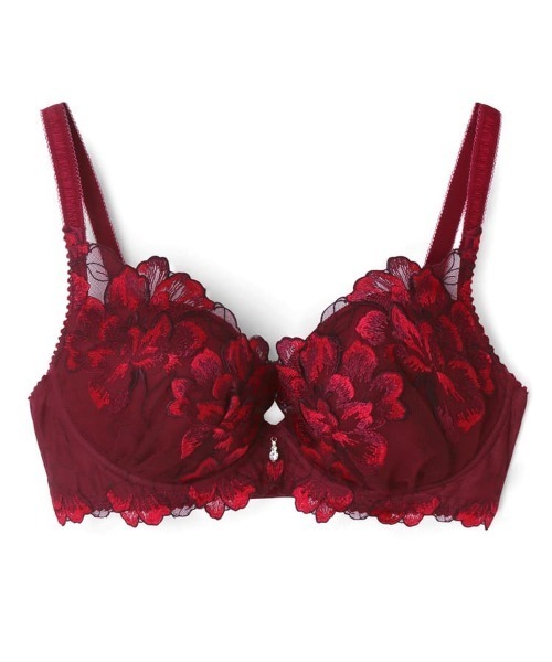 【セール】【エレガントコレクションPremium2309】単品ブラEFGカップ（ブラジャー）｜northerly（ノーザリー）のファッション通販 - ZOZOTOWN