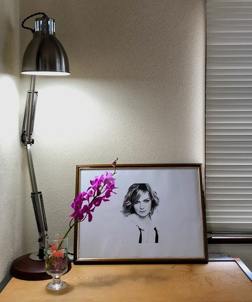 TRADITION ACOUSTIC.（トラディションアコースティック）の「【 tradition acoustic. / トラディション ...