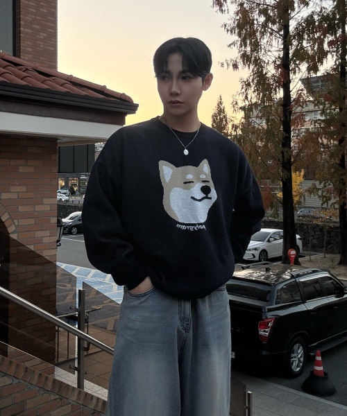 POLYGRAM（ポリグラム）の「Lazy Shiba Brush Round Knit - 5 Colors（ニット/セーター）」 - WEAR