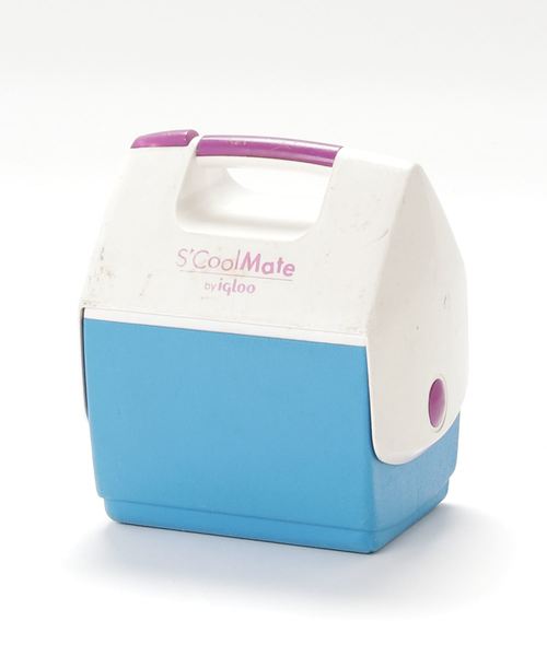 【FRIDGE antiques】フリッジアンティークス igloo S'coolMate（インテリア雑貨）｜fridge（フリッジ）の ...
