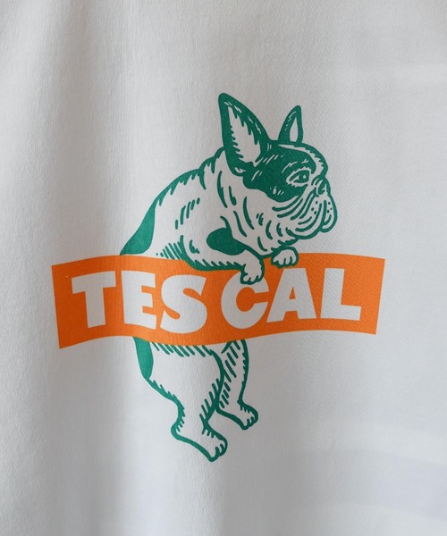 The Endless Summer（エンドレスサマー）の「【WEB / FLAG SHOP限定】TES CAL BOX LOGO LONG ...