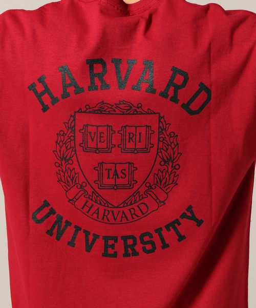HARVARD（ハーバード）の「HARVARD / ハーバード CIRCLE LOGO TEE（Tシャツ/カットソー）」 - WEAR