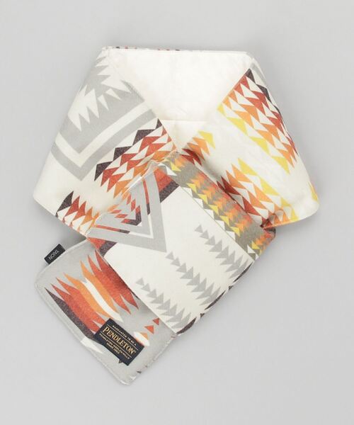PENDLETON（ペンドルトン）の「TAION × PENDLETON/タイオン×ペンドルトン REVERSIBLE DOWN MUFFLER リバーシブルダウンマフラー（マフラー）」 - WEAR
