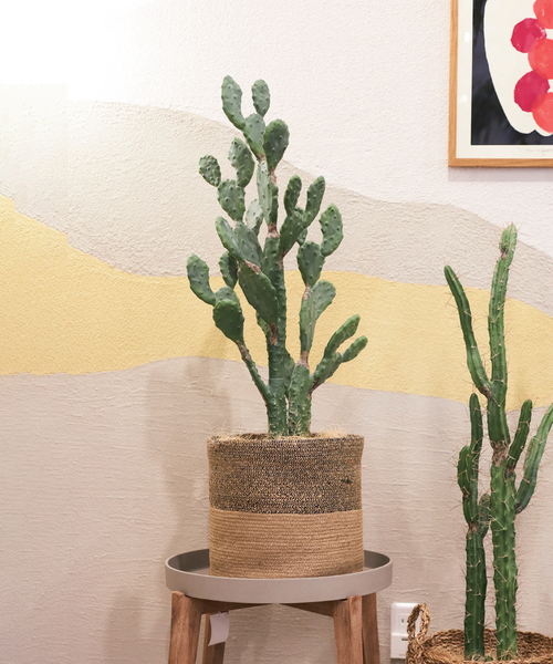 journal standard Furniture （ジャーナルスタンダードファニチャー）の「POT COVER JUTE BASKET ...
