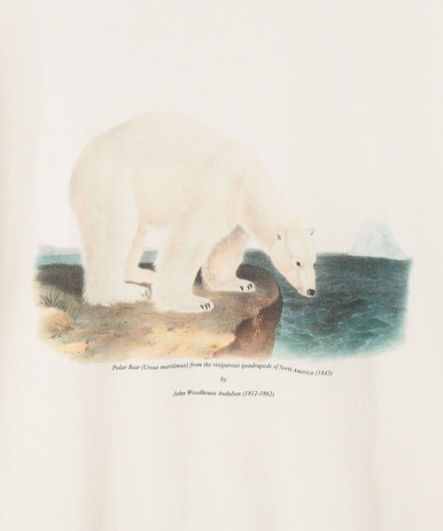 Bshop（ビショップ）の「History of Art | プリントTシャツ WHITE BEAR MEN（Tシャツ/カットソー）」 - WEAR